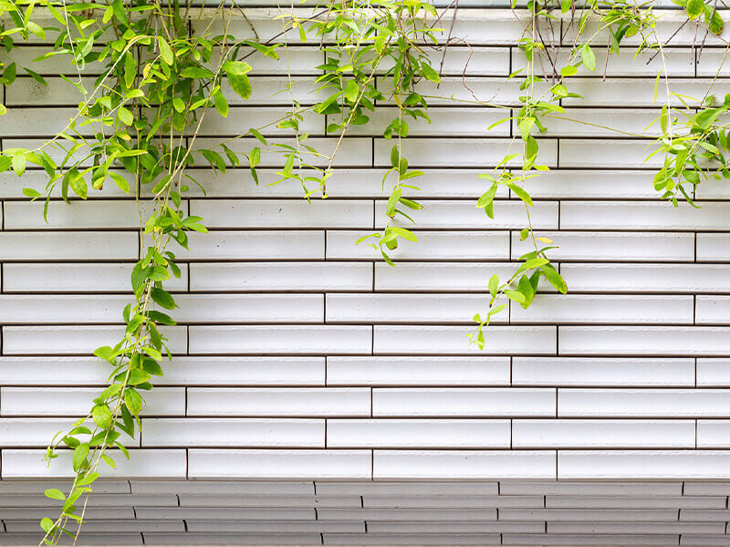 13+ Mẫu Gạch Thẻ Inax Ốp Tường Ngoại Thất Đẹp Và Sang Trọng